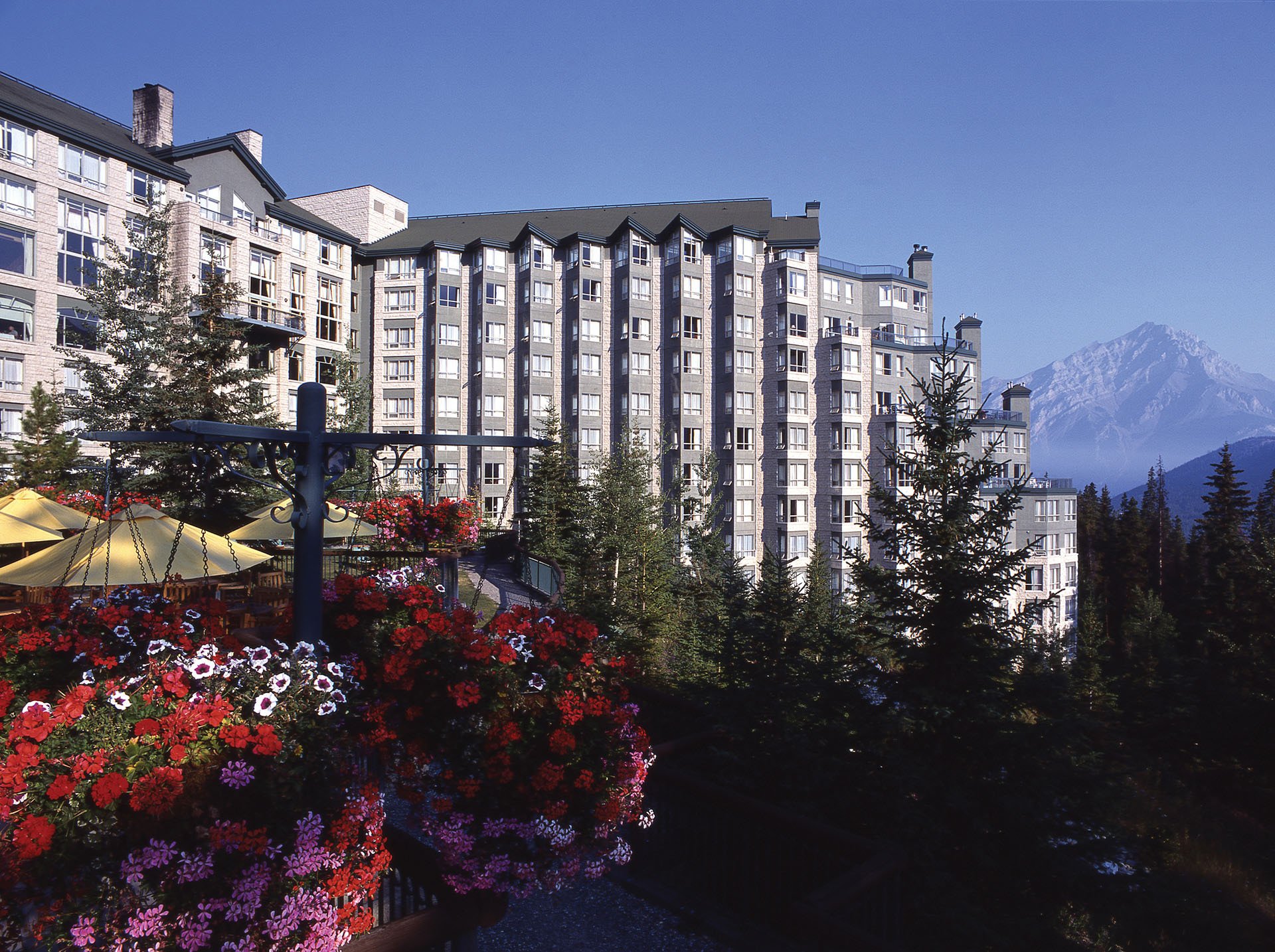 About Our Banff Mountain Hotel | The Rimrock Resort Hotel