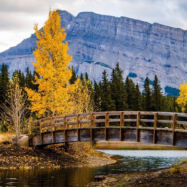 5 Unforgettable Things to Do in Banff National Park This Fall | The ...